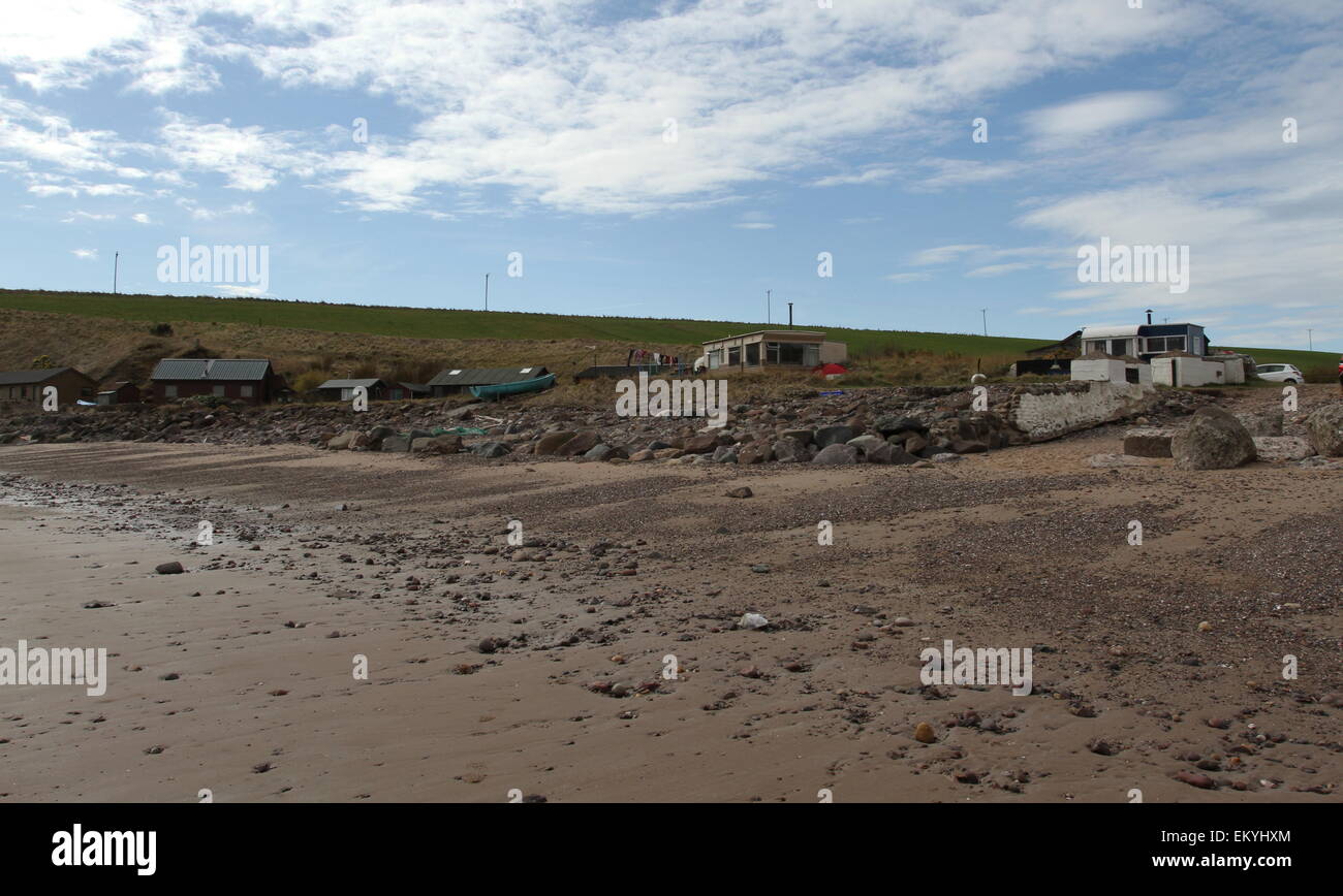 Corbie Knowe at Lunan Bay Angus Scotland April 2015 Stock Photo - Alamy