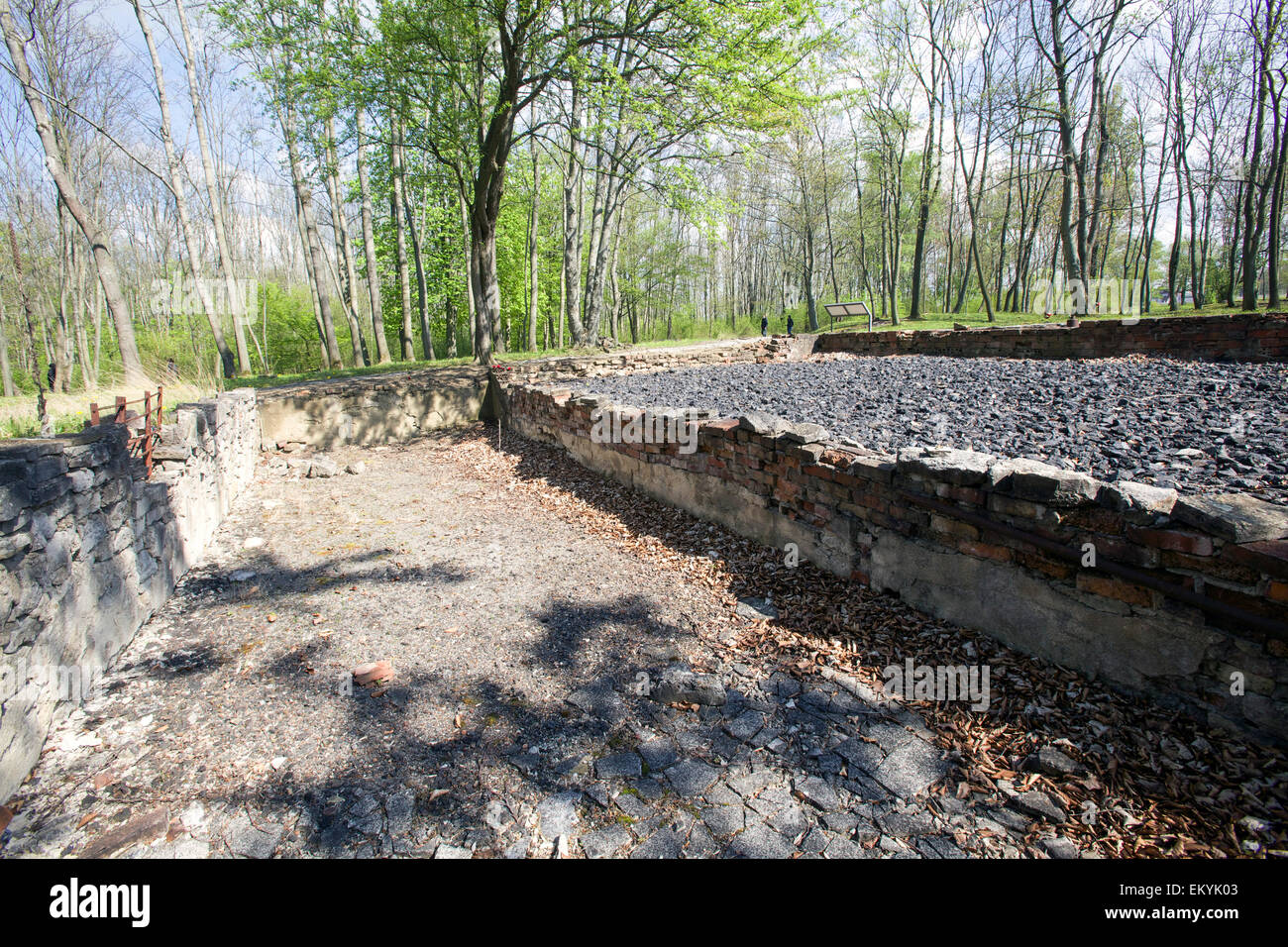 Concentration camp, Konzentrationslager, Buchenwald Stock Photo - Alamy