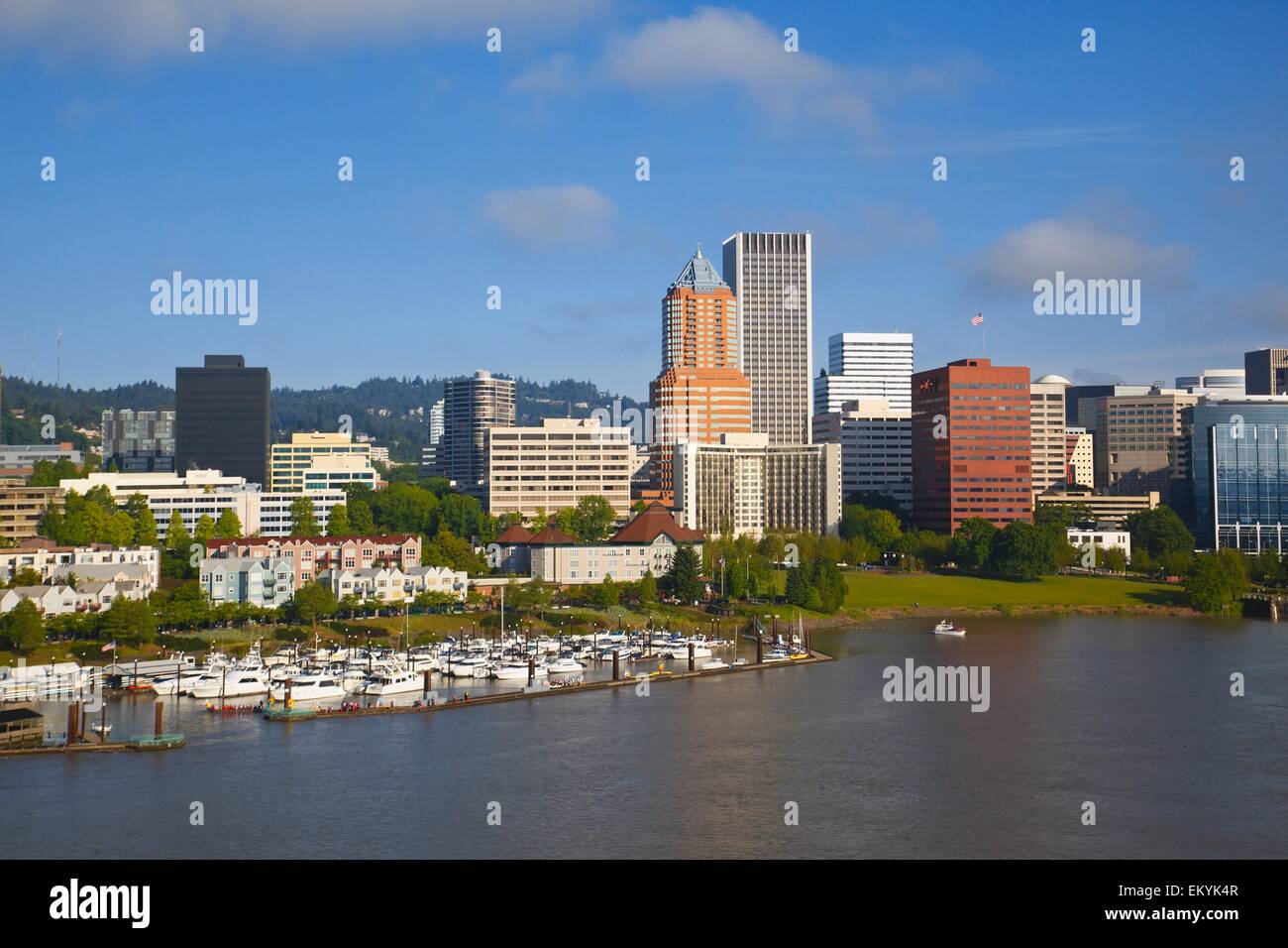Willamette River And Portland Waterfront; Portland, Oregon, United ...