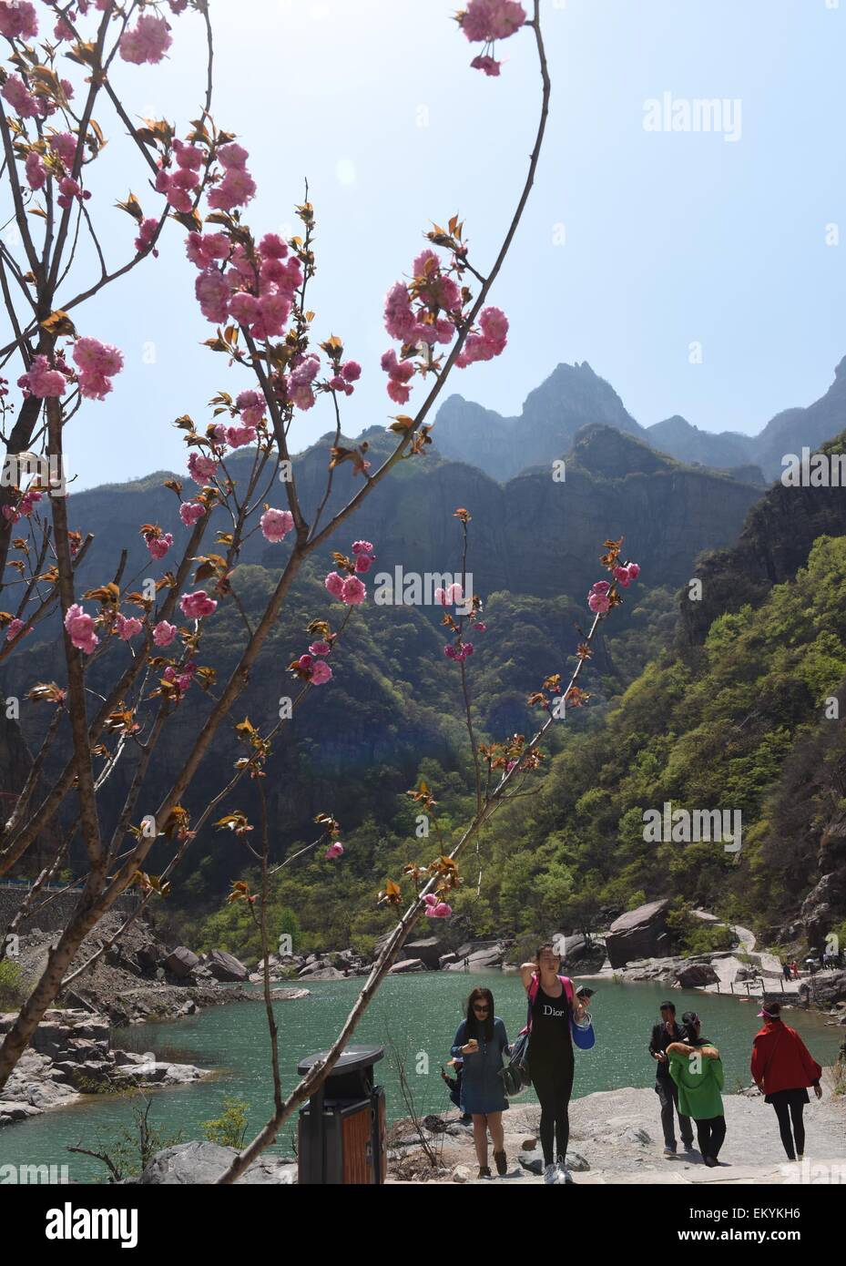 Zhengzhou. 14th Apr, 2015. Visitors enjoy the natural scenery of ...