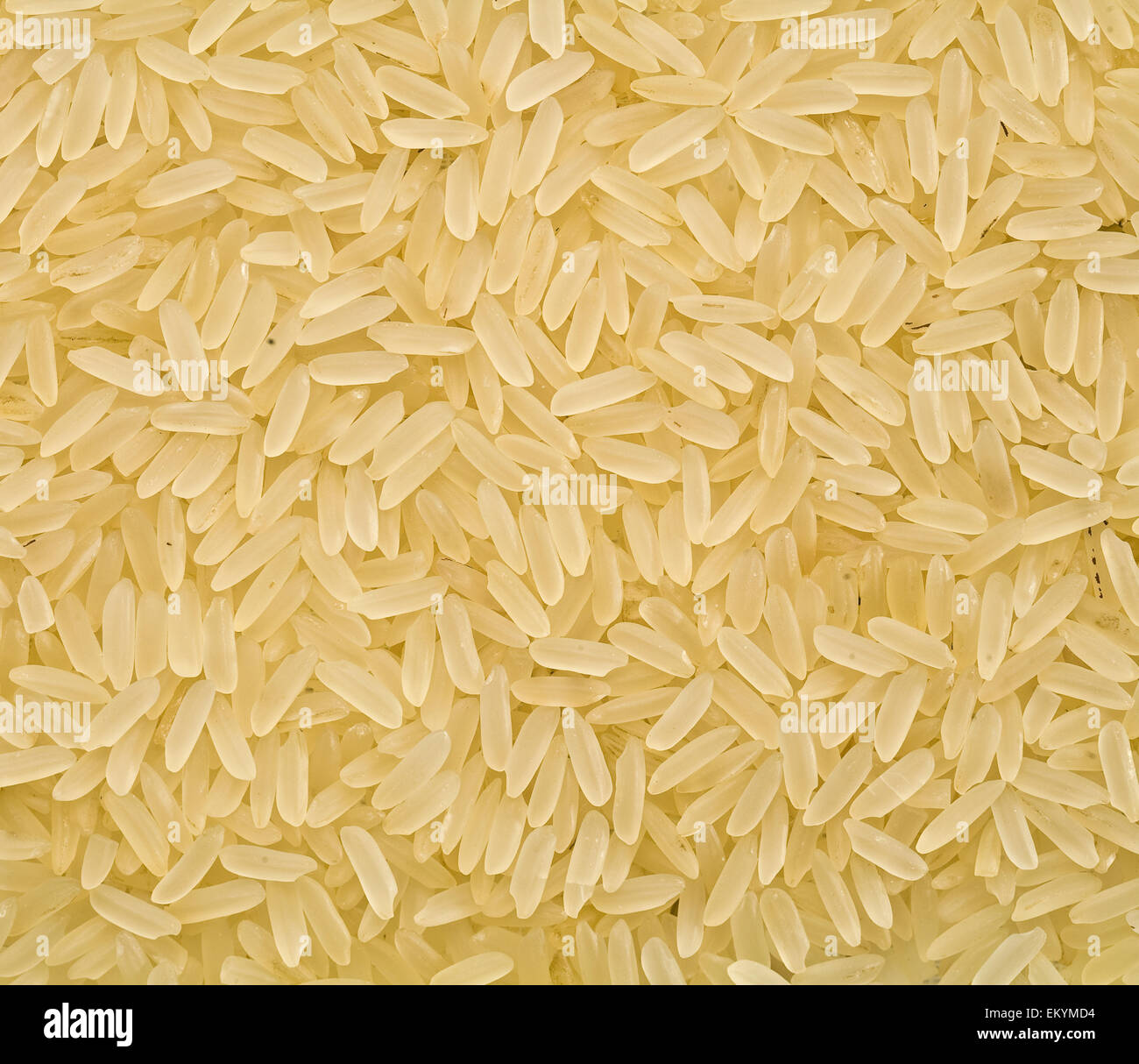 Closeup shot asian rice hi-res stock photography and images - Alamy