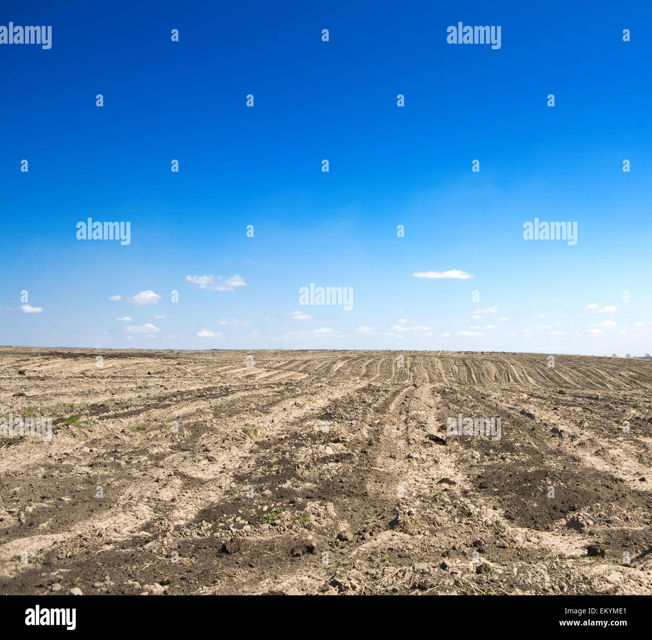 Uncultivated hi-res stock photography and images - Alamy