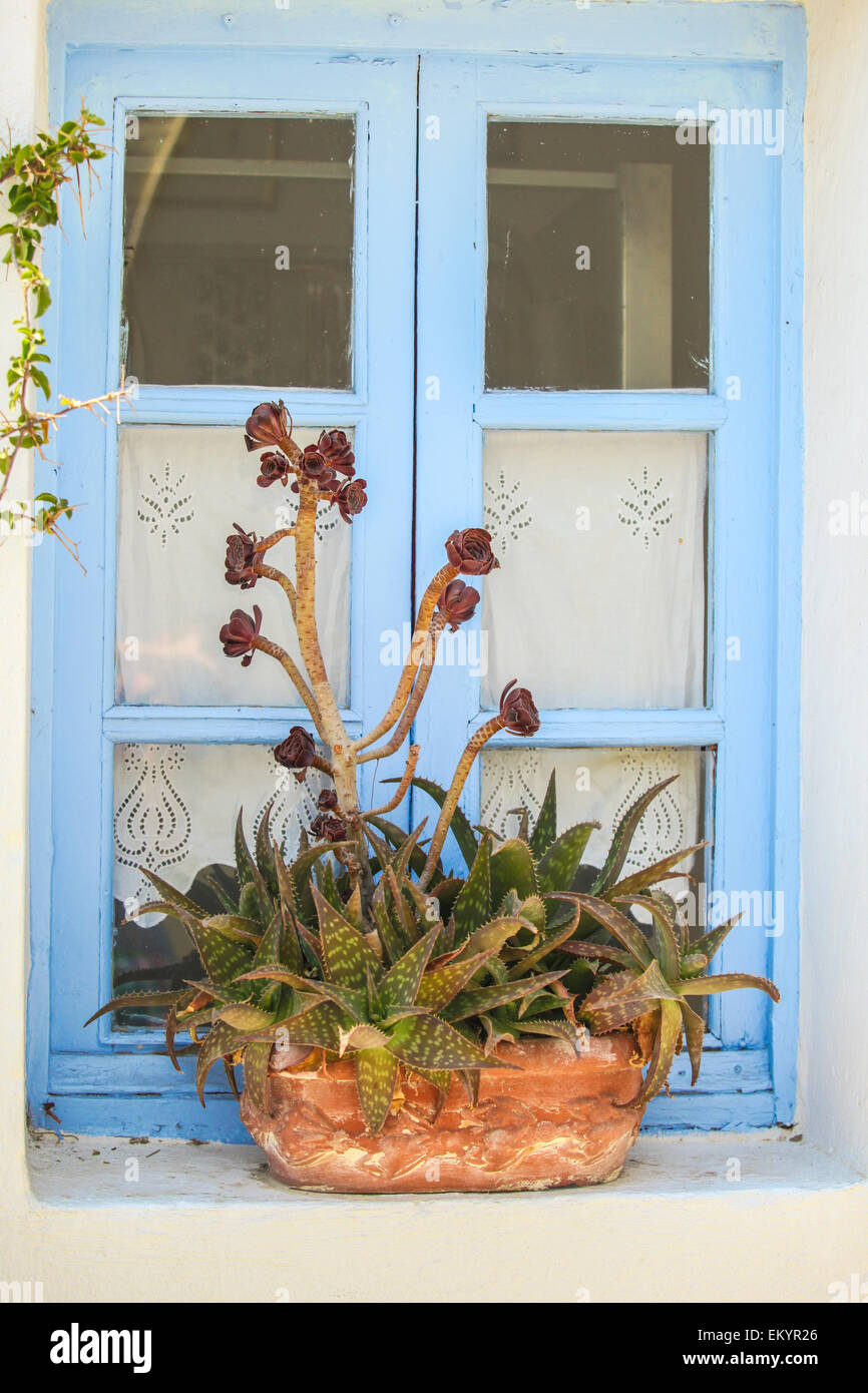 Greek style windows with flowerpot on him Stock Photo - Alamy