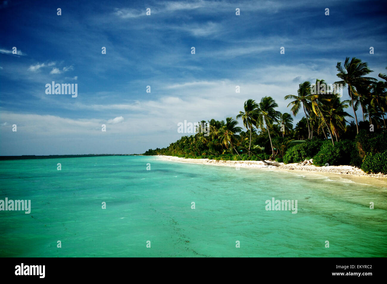 Ocean Coast Line Stock Photo - Alamy