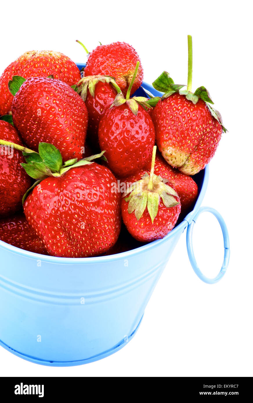 Strawberries in Blue Bucket Stock Photo - Alamy