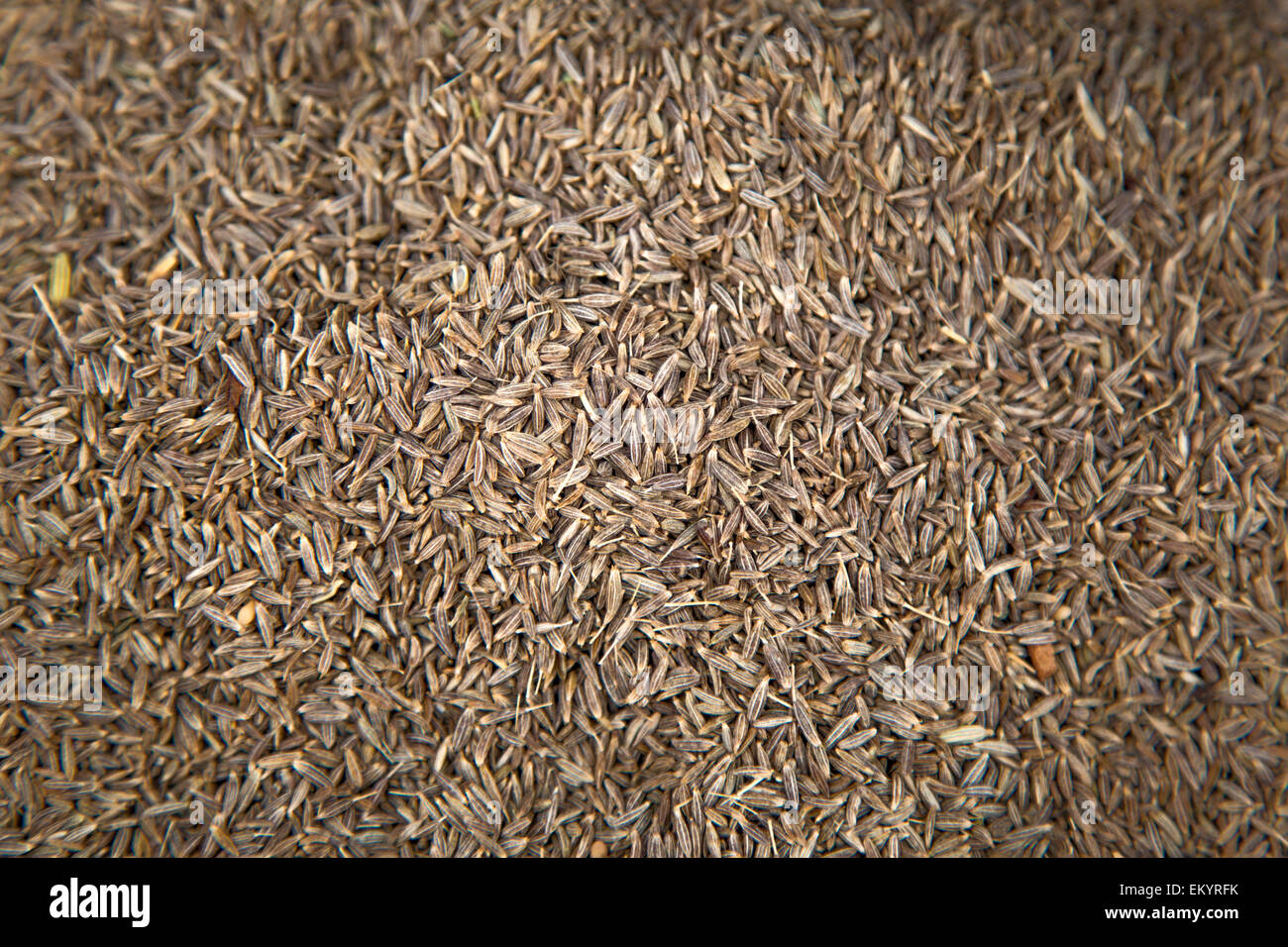 Cumin on the market Stock Photo - Alamy