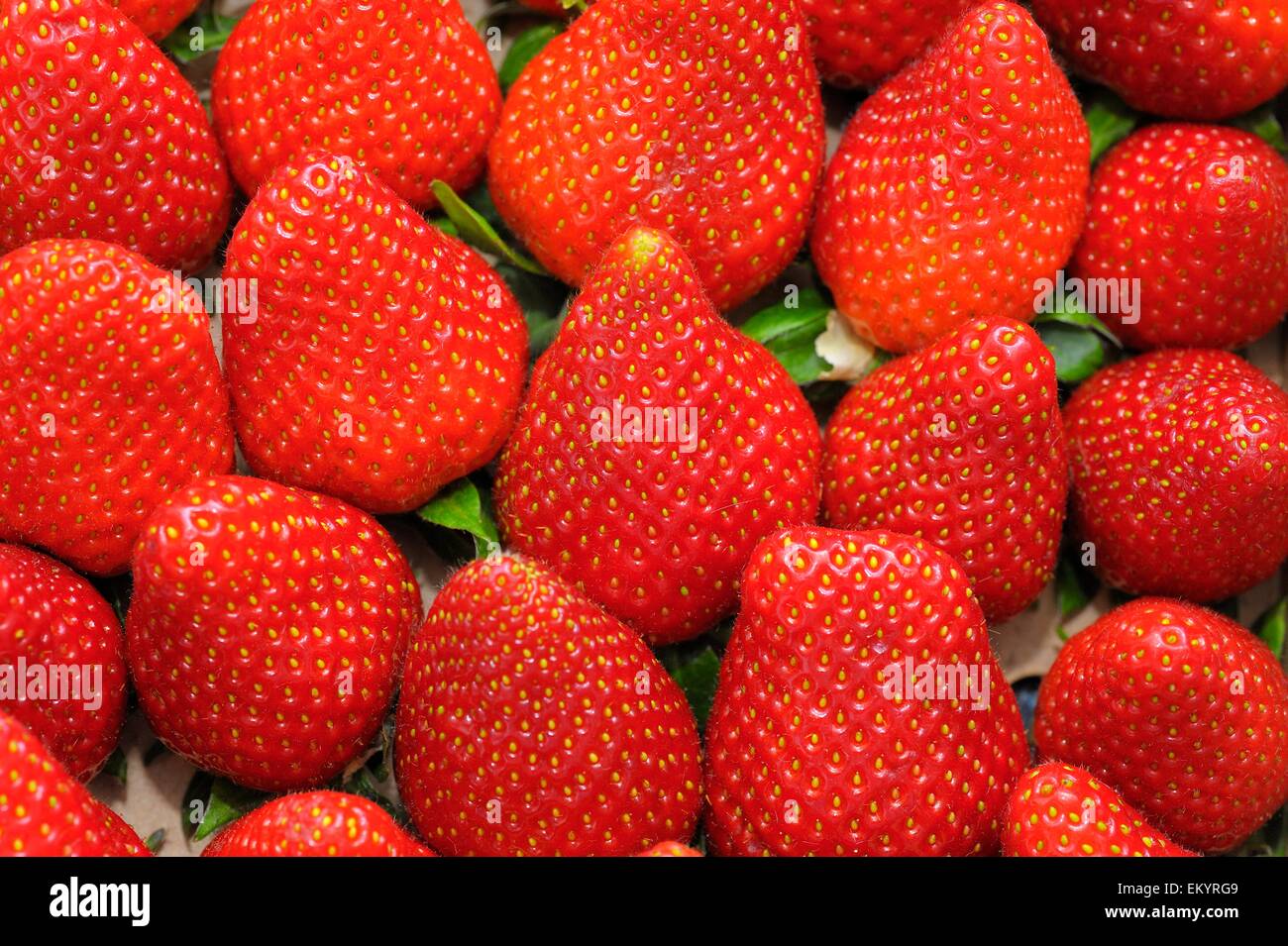 Delicious strawberrys and cream hi-res stock photography and images - Alamy