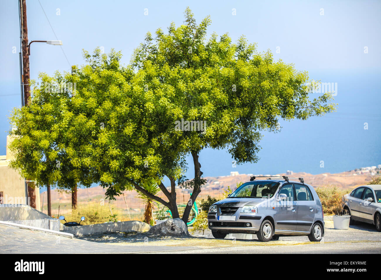 Exotic car culture hi-res stock photography and images - Alamy