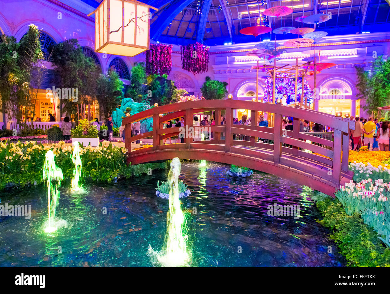Spring season in Bellagio Hotel Conservatory & Botanical Gardens in Las ...
