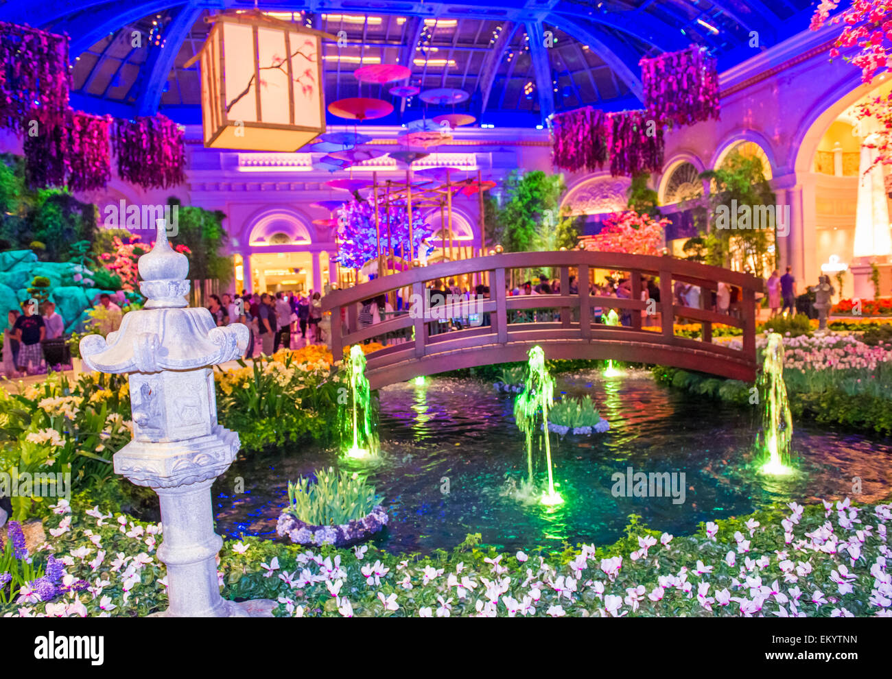 Spring season in Bellagio Hotel Conservatory & Botanical Gardens in Las ...