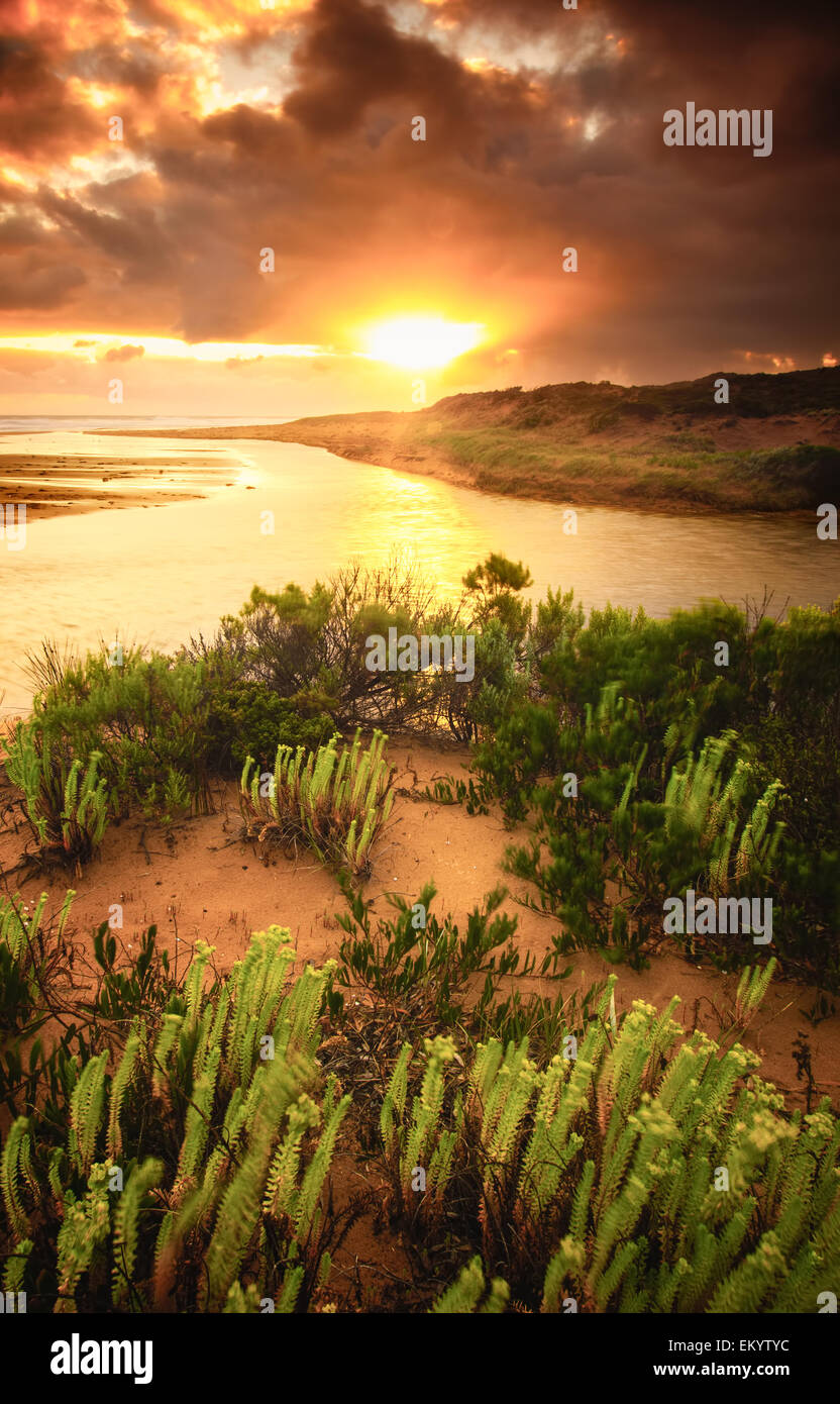 Waitpinga beach hi-res stock photography and images - Alamy