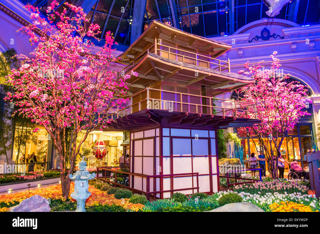 Spring season in Bellagio Hotel Conservatory & Botanical Gardens in Las ...