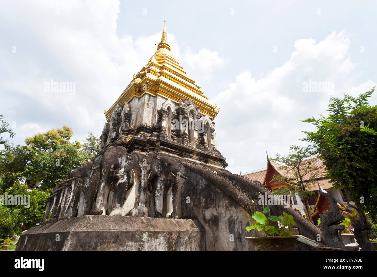 Wat Chiang Man temple in Chiang Mai, Thailand Stock Photo - Alamy