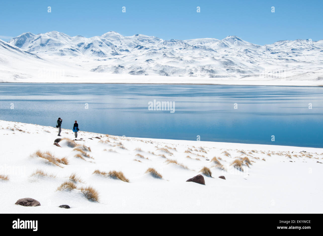 Laguna Miscanti is a high-altitude Andean lake within the Reserva ...
