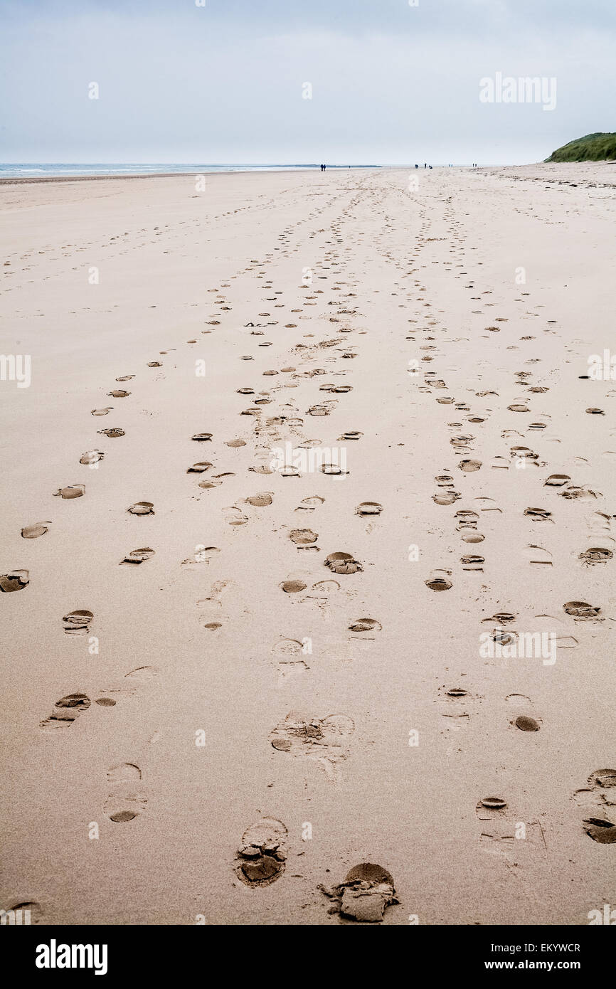 Footprints in the sand running into the distance Stock Photo - Alamy