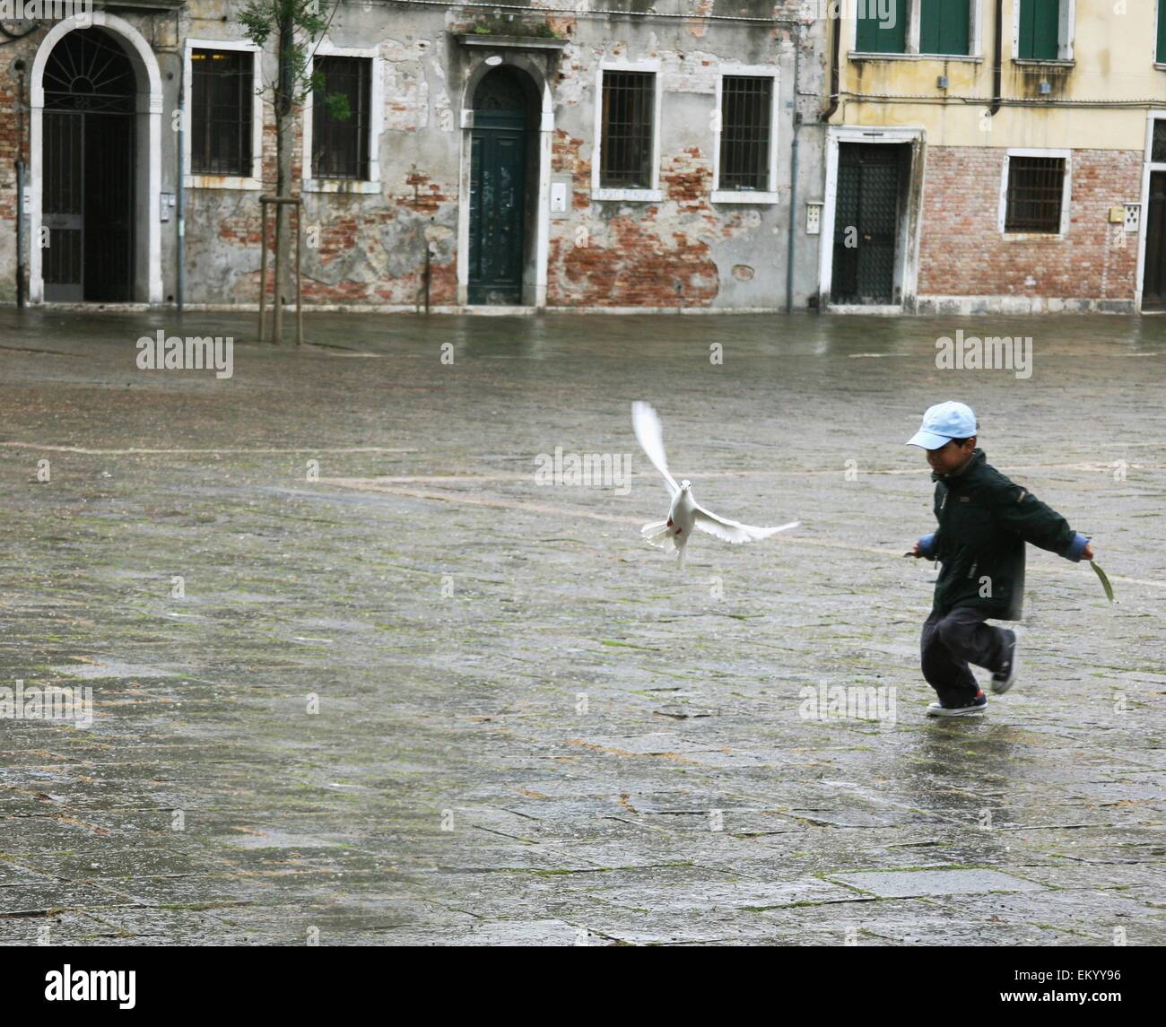 Dove italy hi-res stock photography and images - Alamy