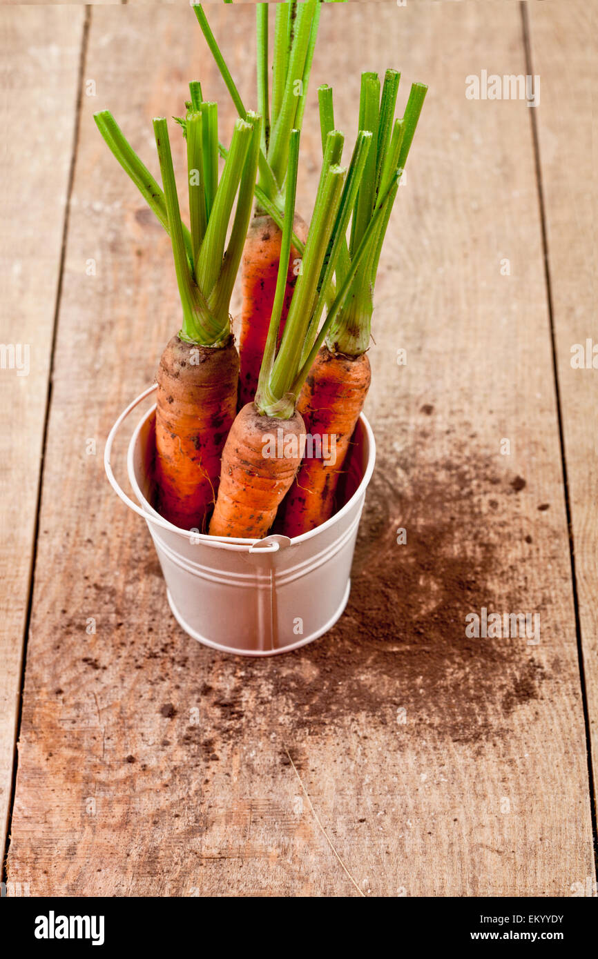 fresh carrots bunch in white bucket Stock Photo - Alamy