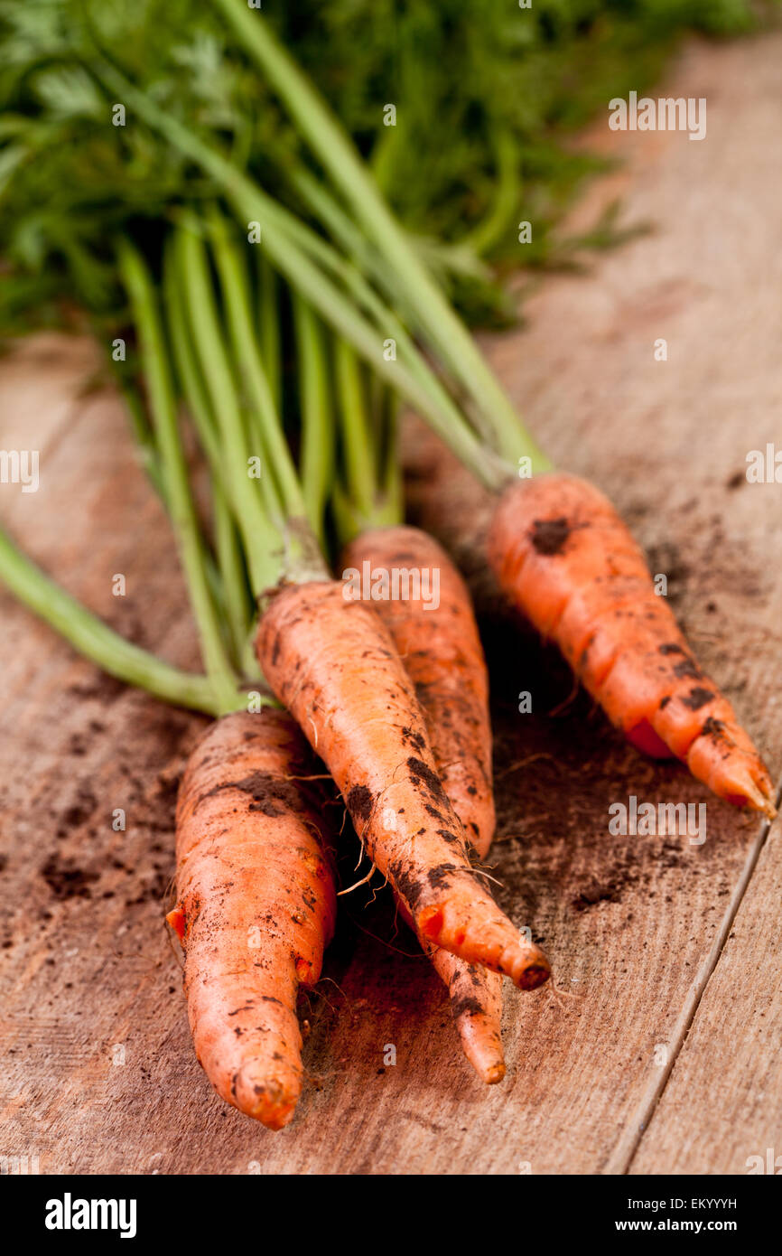 fresh carrots bunch Stock Photo - Alamy
