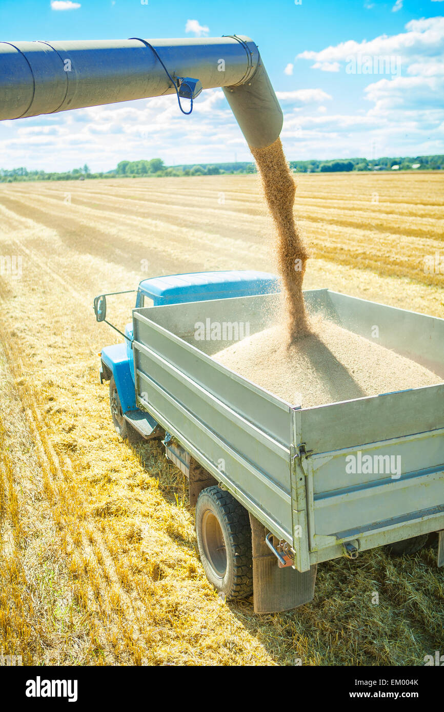 Vehicle truck wheat hi-res stock photography and images - Alamy