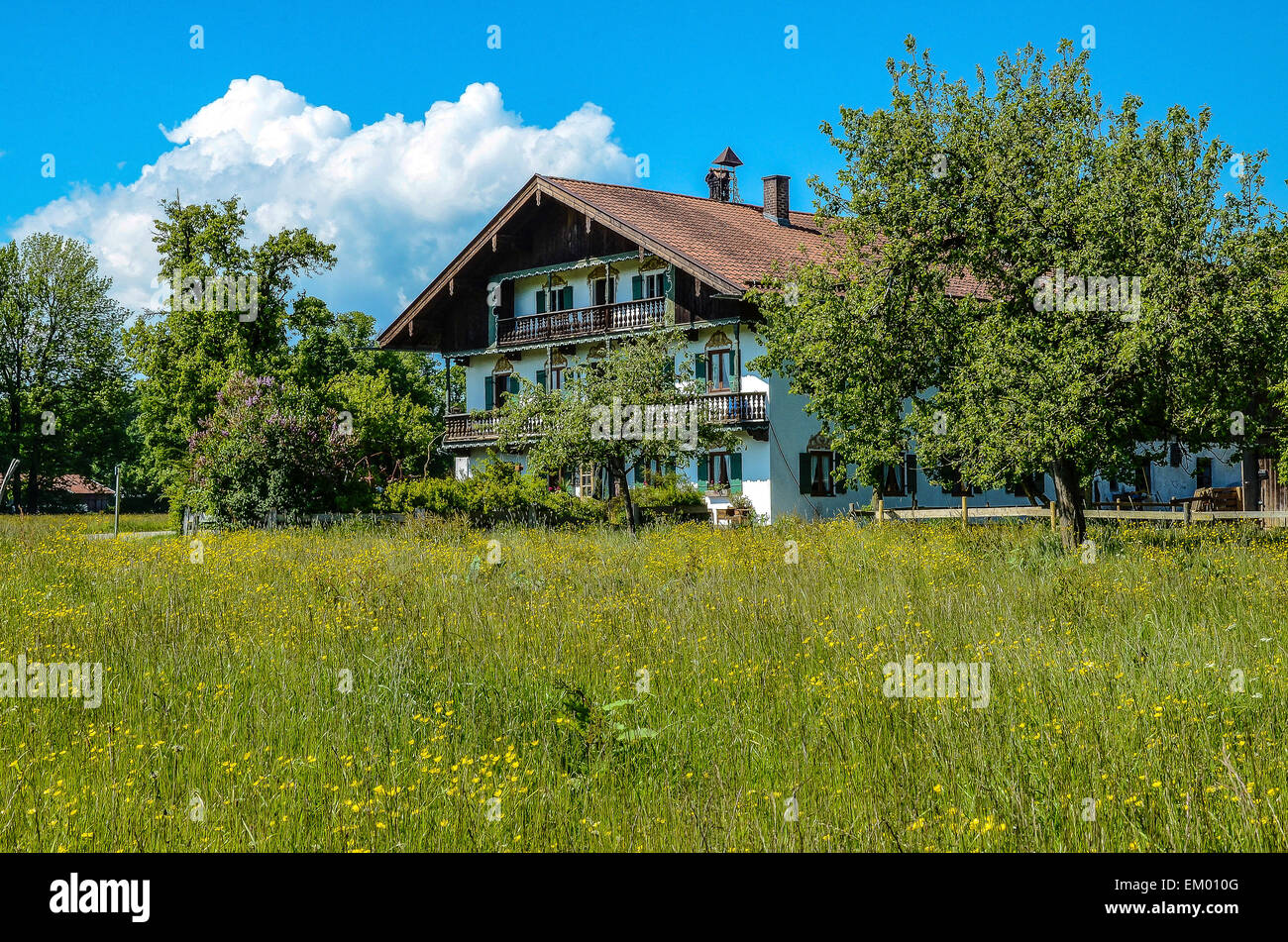 Beautiful farm in Upper Bavaria in the midst of blooming springtime ...