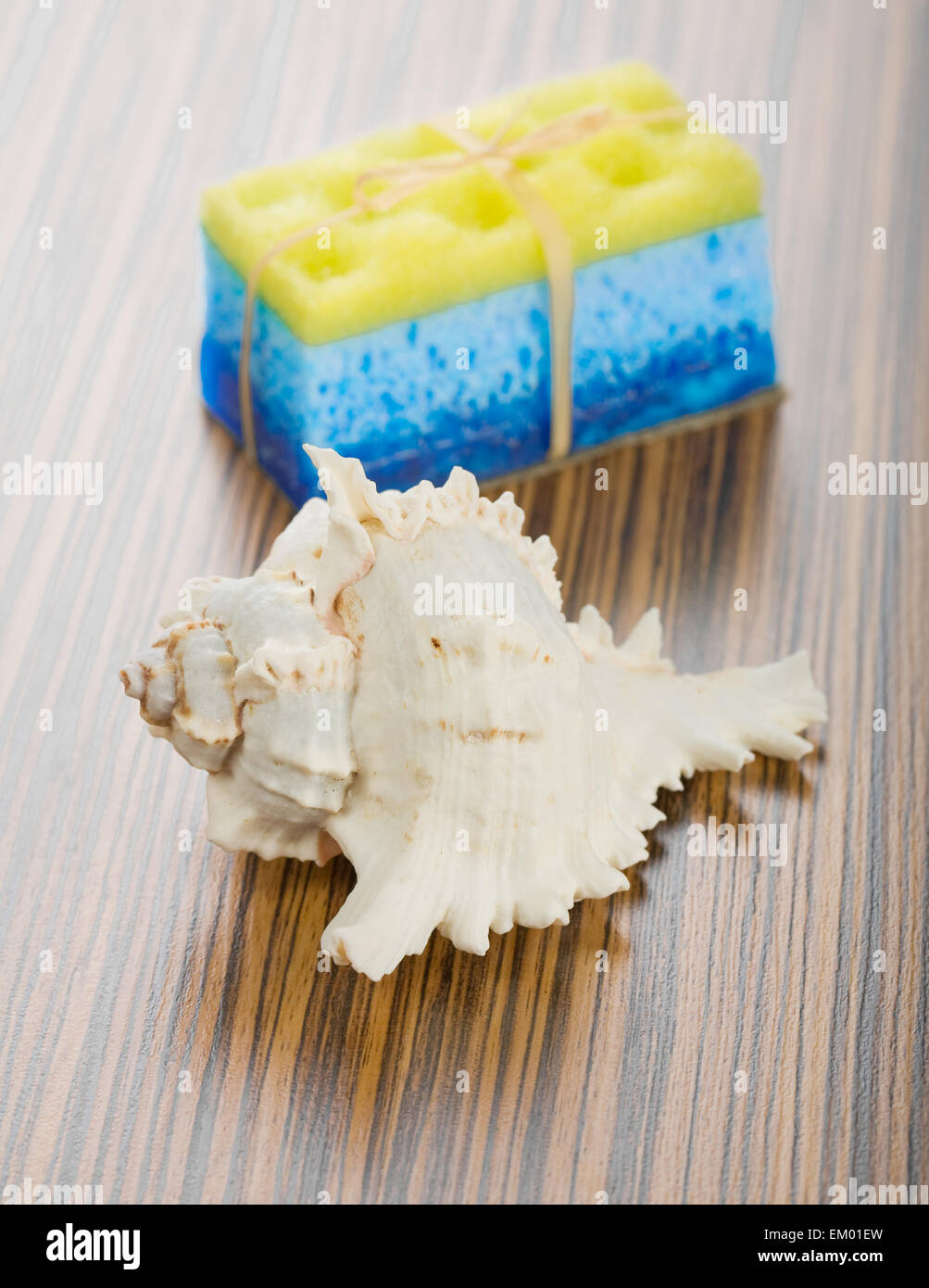 soap bath sponge and cockle shell Stock Photo - Alamy