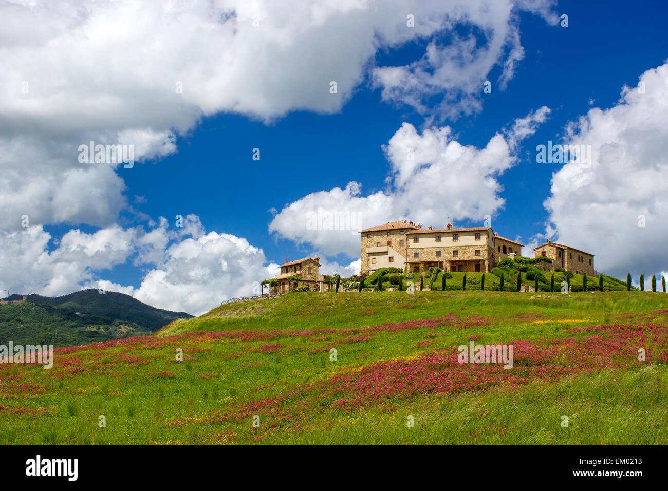 Tuscany - landscape with spring flowers, Italy Stock Photo - Alamy