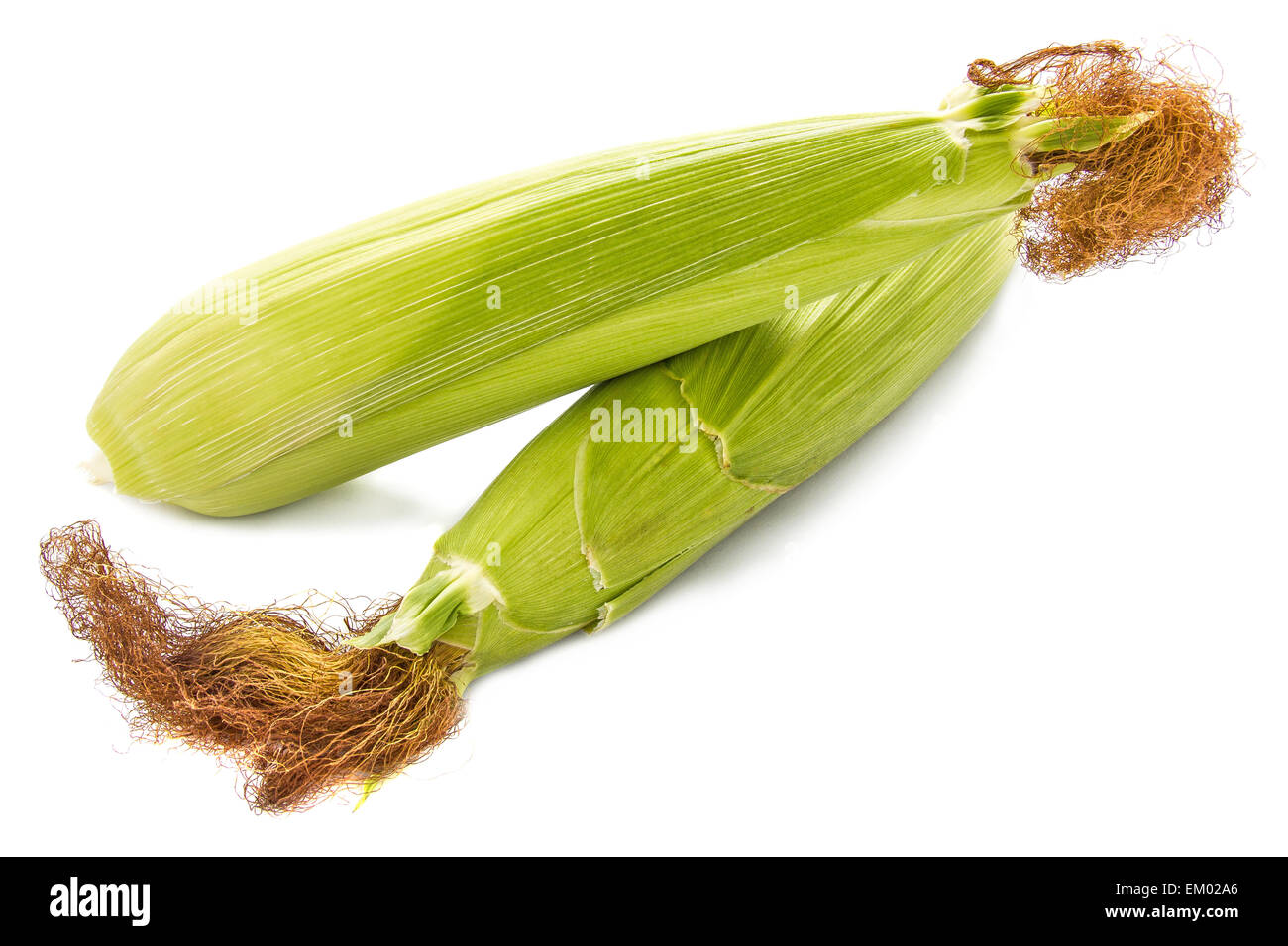 Yellow cob Cut Out Stock Images & Pictures - Alamy