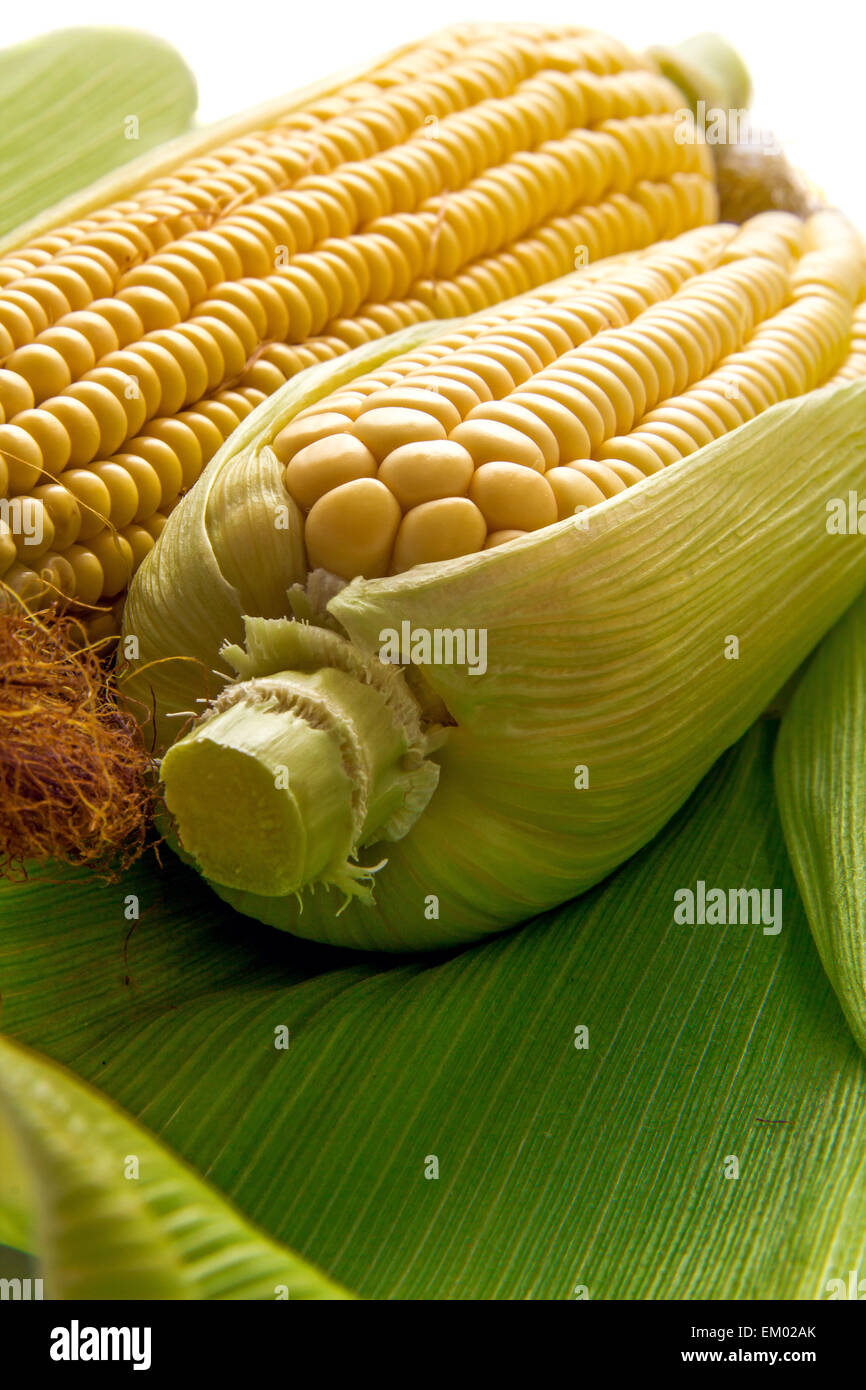 Cob between leaves Stock Photo - Alamy