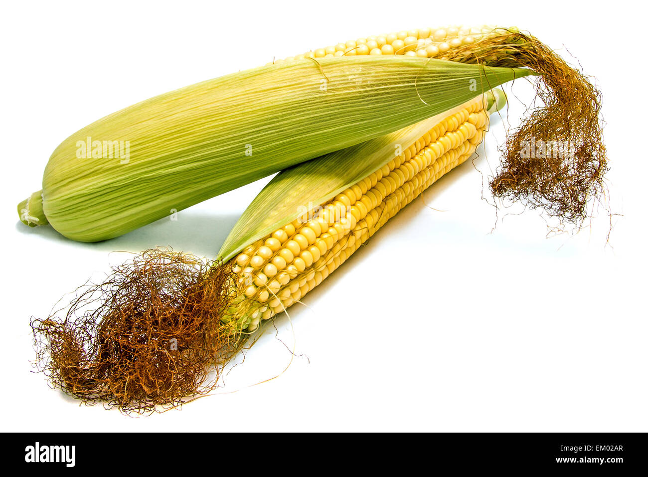 Yellow cob Cut Out Stock Images & Pictures - Alamy
