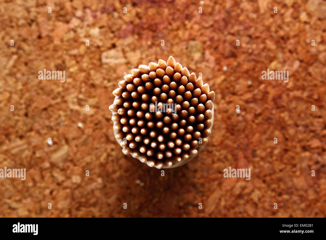 Thin wooden stick hi-res stock photography and images - Alamy