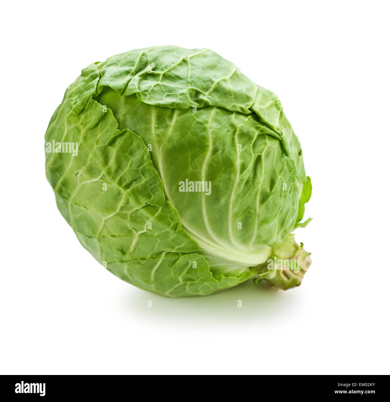 Leafy square Cut Out Stock Images & Pictures - Alamy