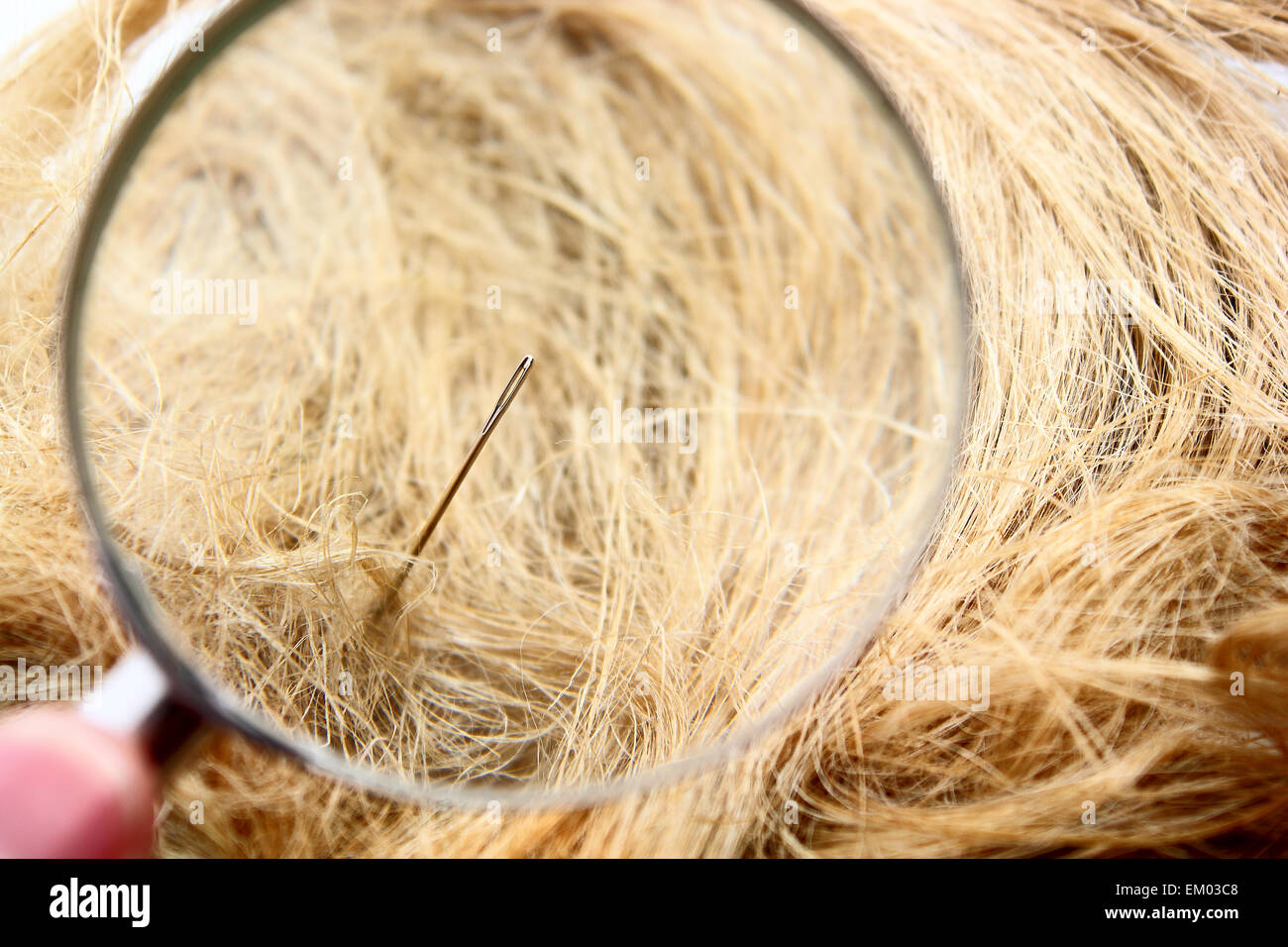 Find a Needle in the haystack Stock Photo - Alamy