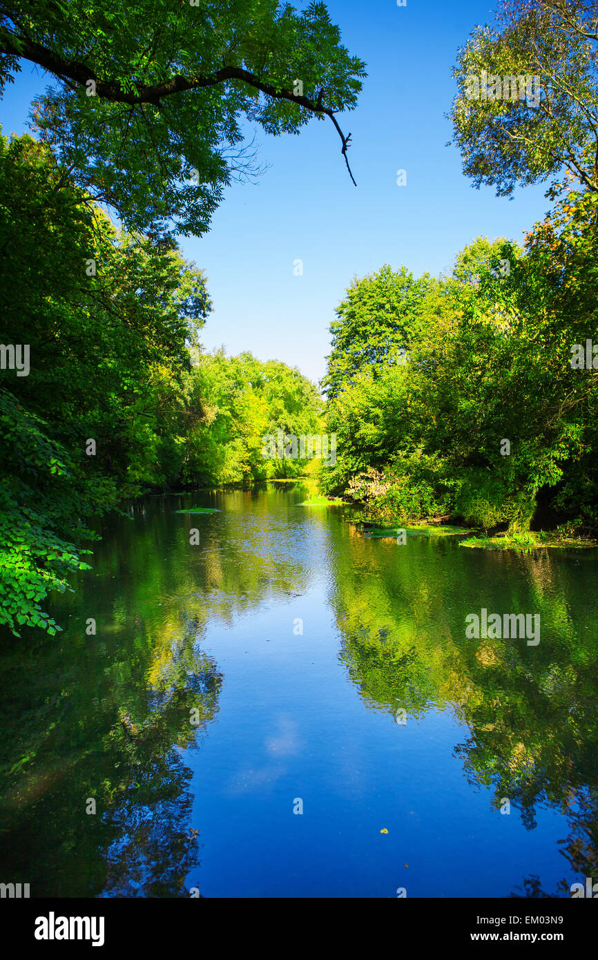 river in forest Stock Photo - Alamy