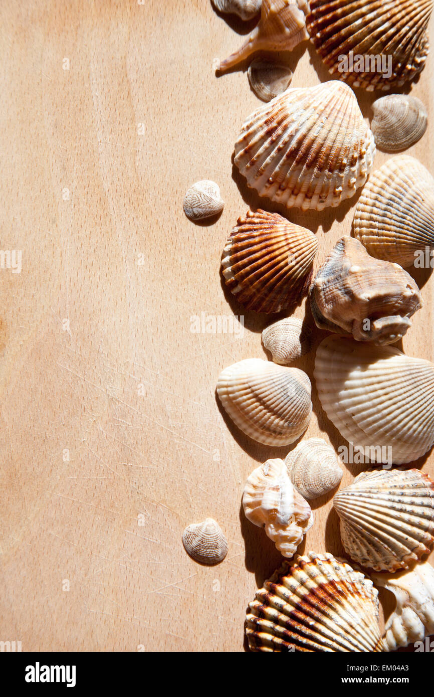 sea shells and star Stock Photo - Alamy