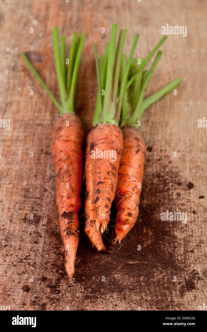 fresh carrots bunch Stock Photo - Alamy