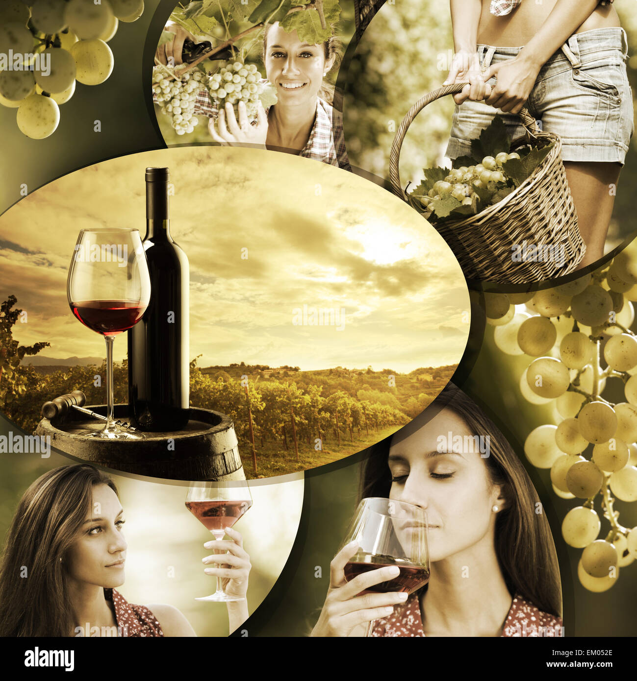 Wine collage hi-res stock photography and images - Alamy