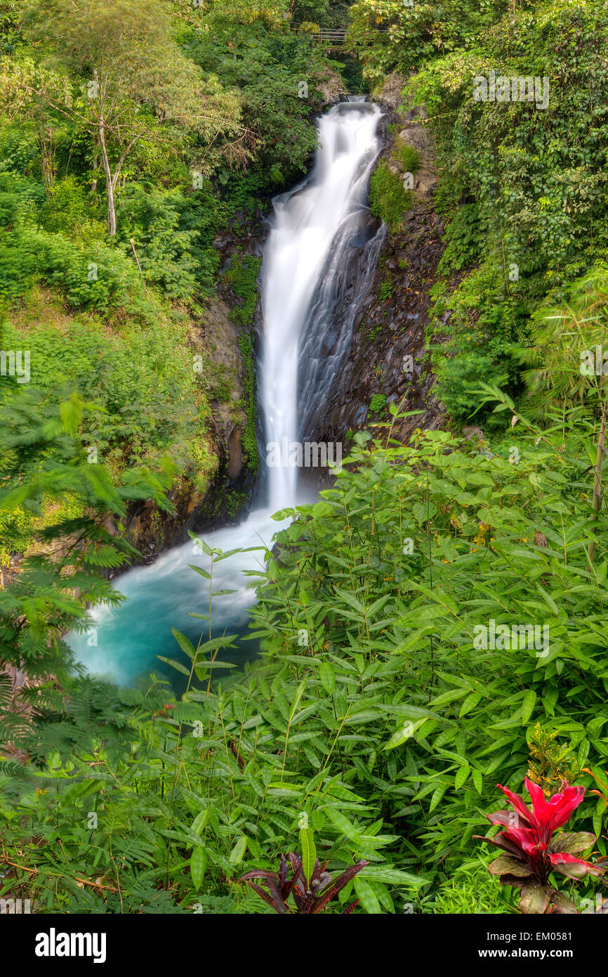 Gitgit waterfall bali island hi-res stock photography and images - Alamy
