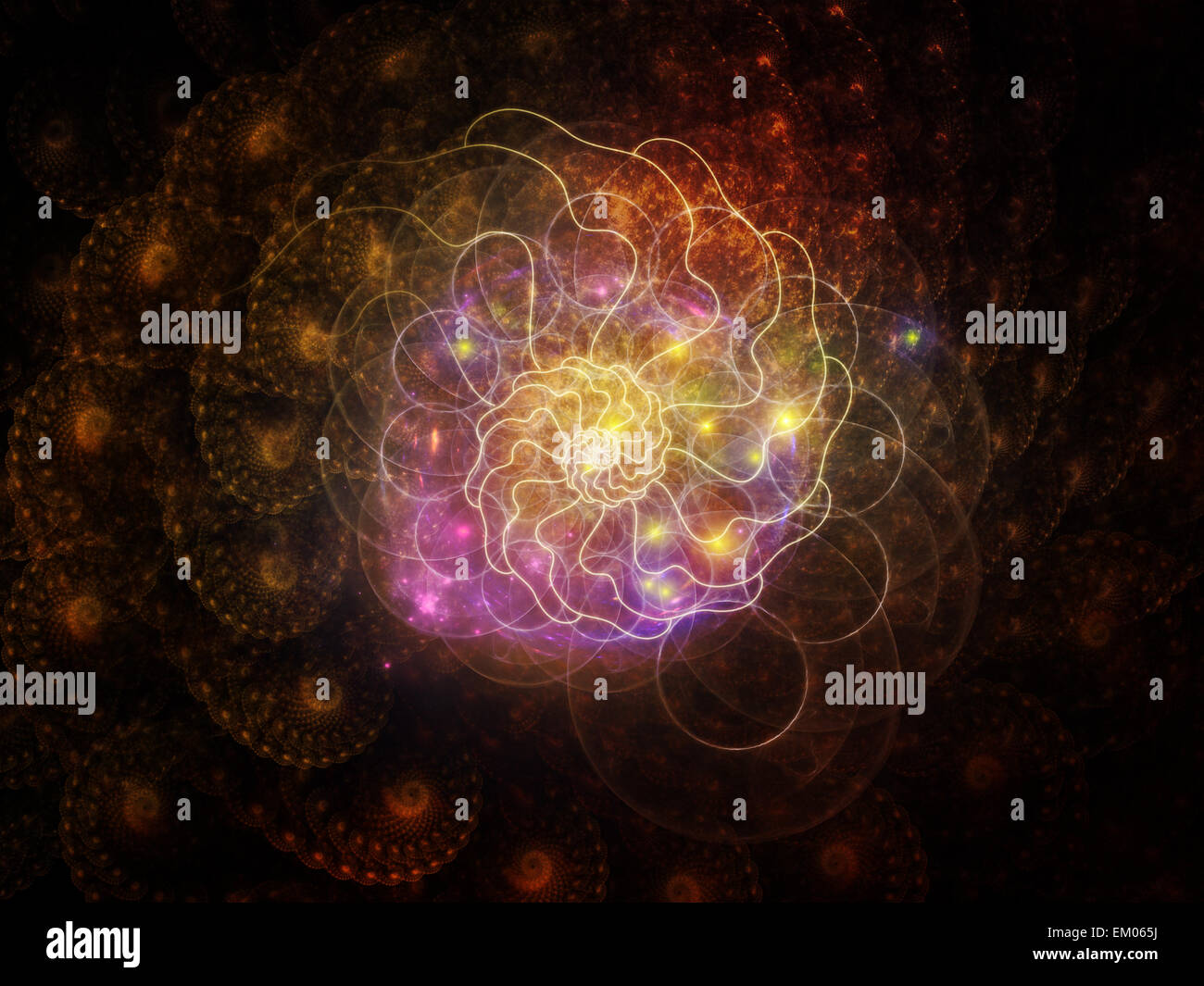 Eddy shell hi-res stock photography and images - Alamy