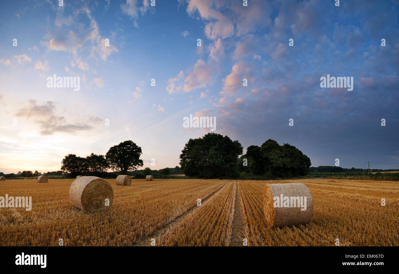 Beautiful Summer sunset landscape over field of hay bales Stock Photo ...