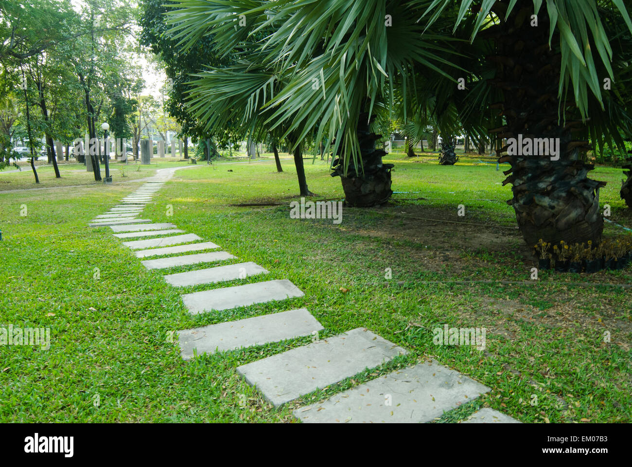 Public park walks in hi-res stock photography and images - Alamy