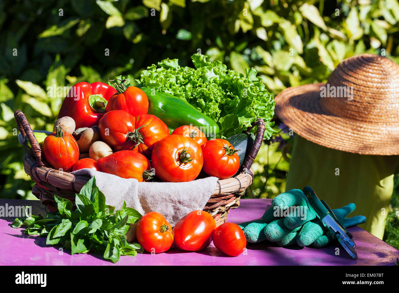 Harvest of vegetables Stock Photo - Alamy