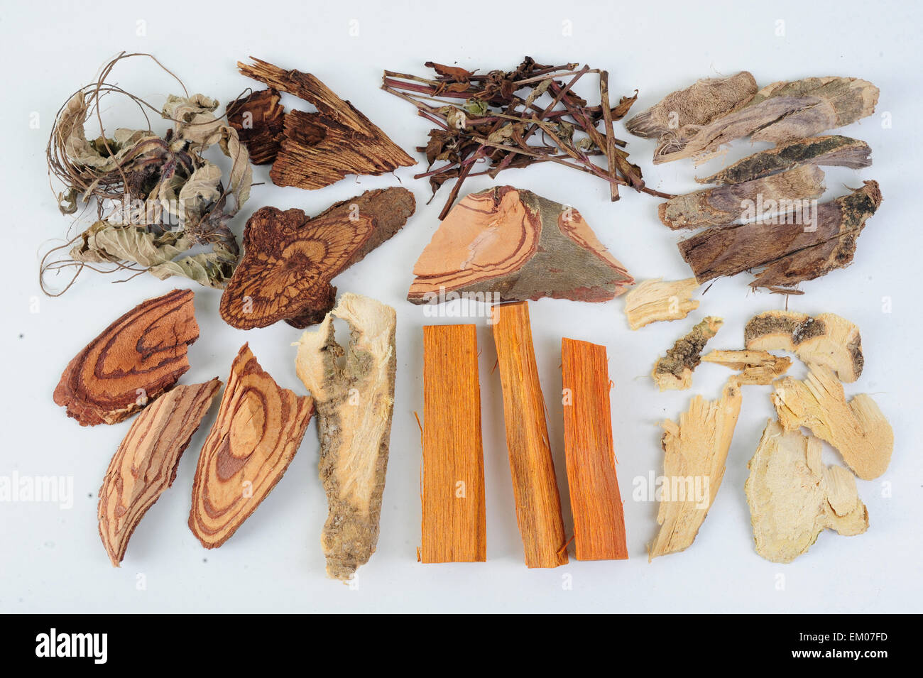 plant materials and herbs prepared by a traditional chinese herb Stock ...