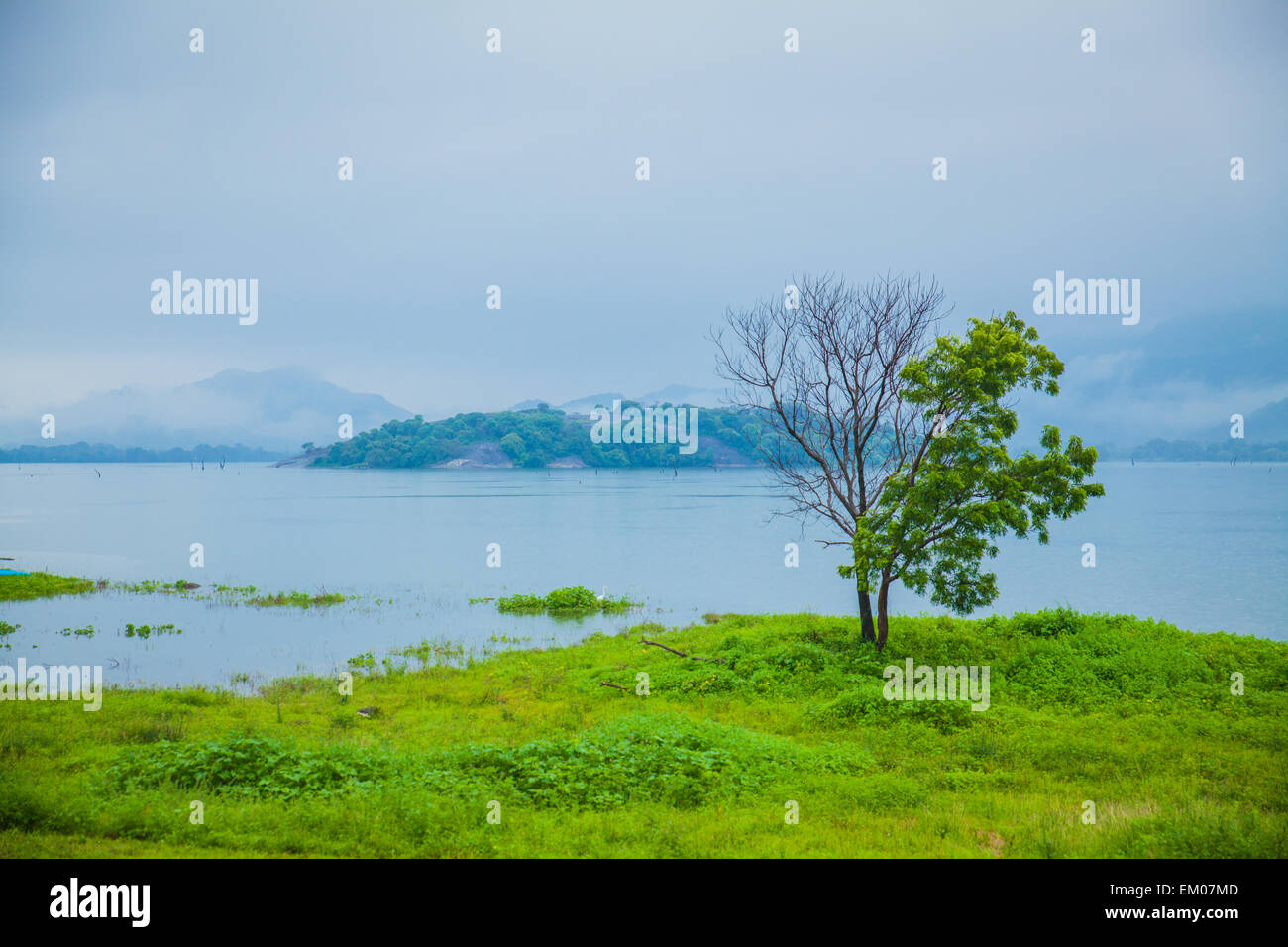 Sri Lanka (Ceylon) nature. Lake and hills in morning clouds and tree in ...