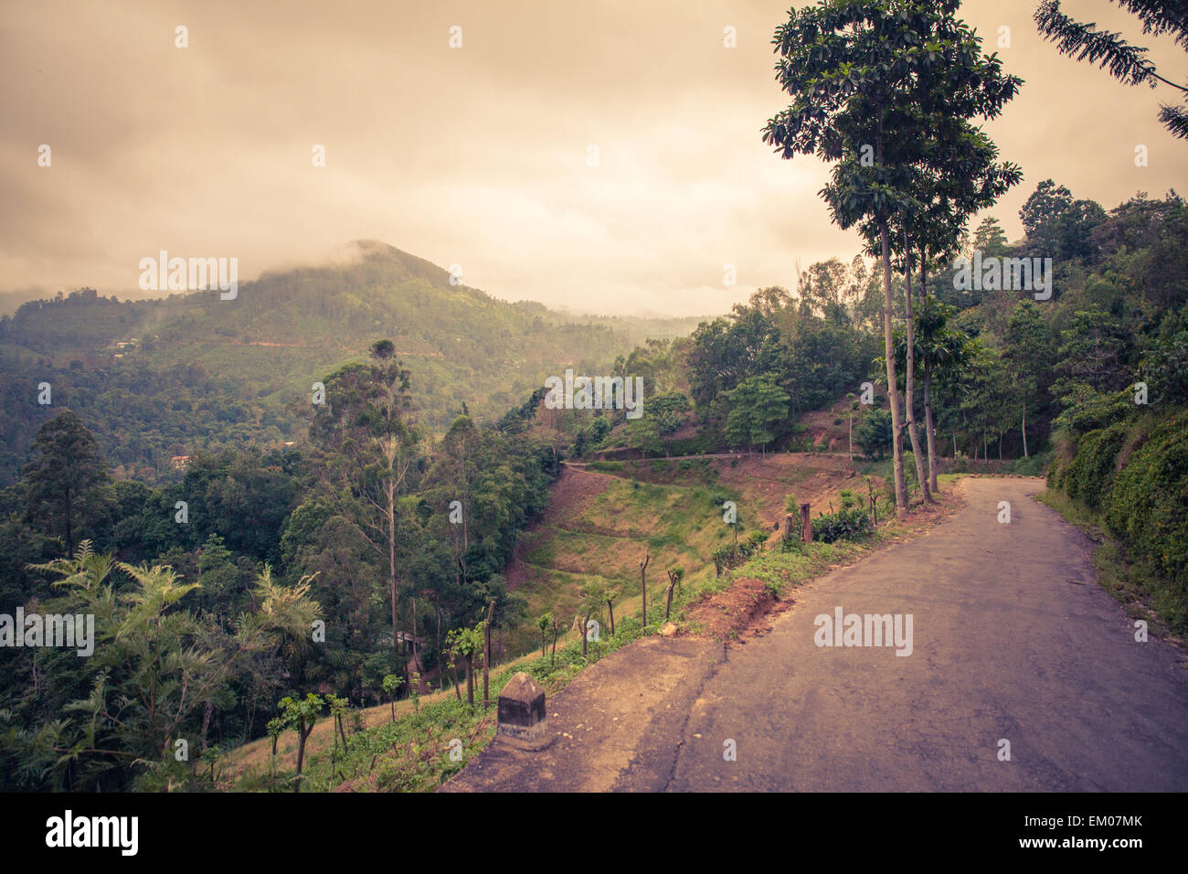 Sri Lanka (Ceylon) nature. Road, trees and hills in sunset clouds Stock ...