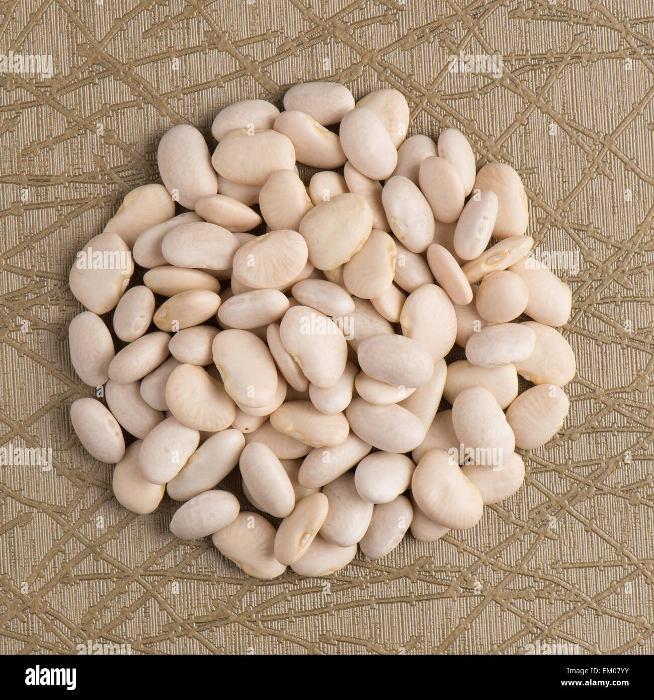 Top view of circle of white beans against green vinyl background Stock ...