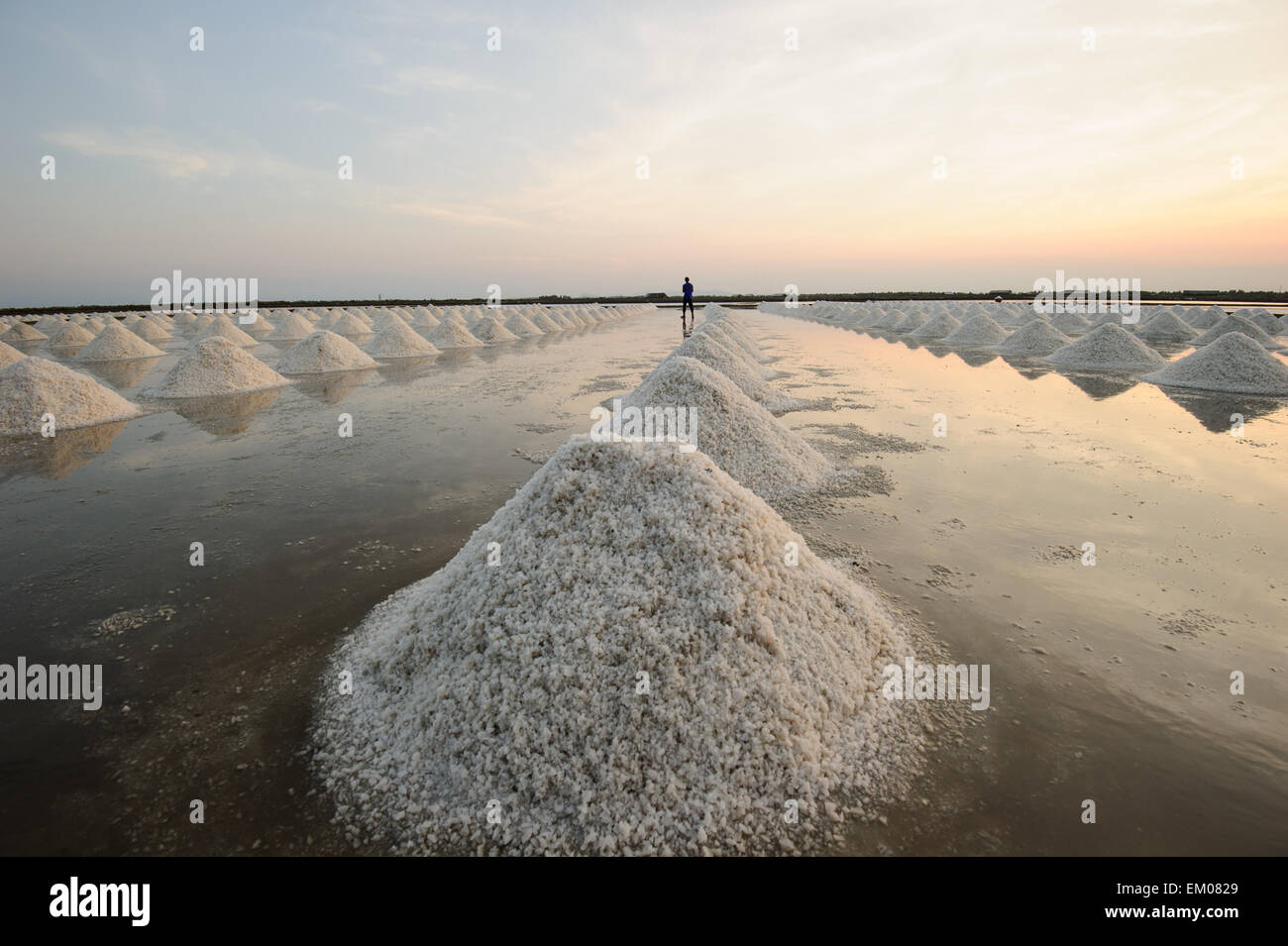 Asia salt farm hi-res stock photography and images - Alamy