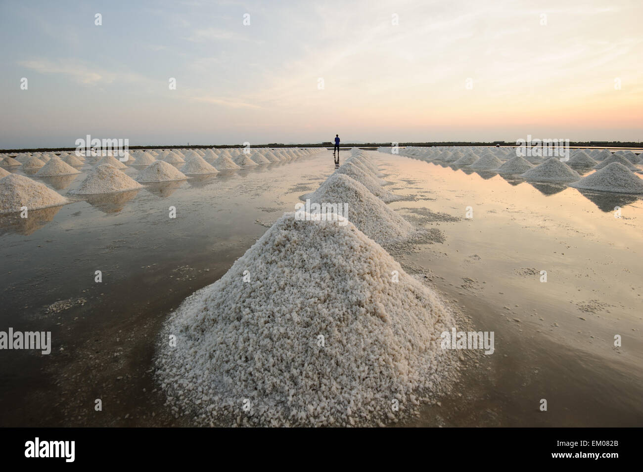 Spice farm asia hi-res stock photography and images - Alamy