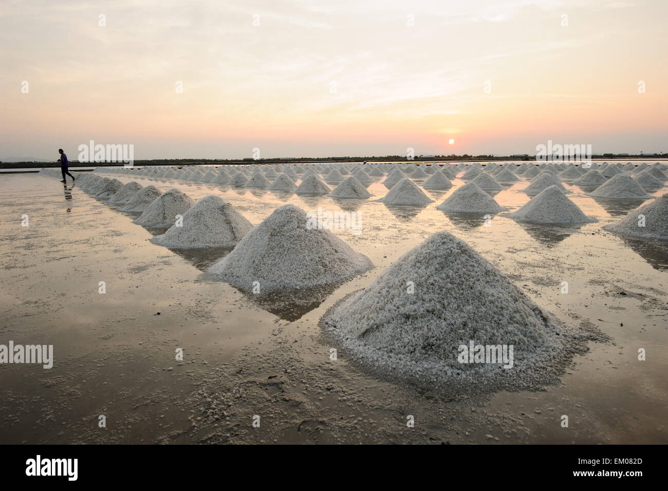 Spice farm asia hi-res stock photography and images - Alamy