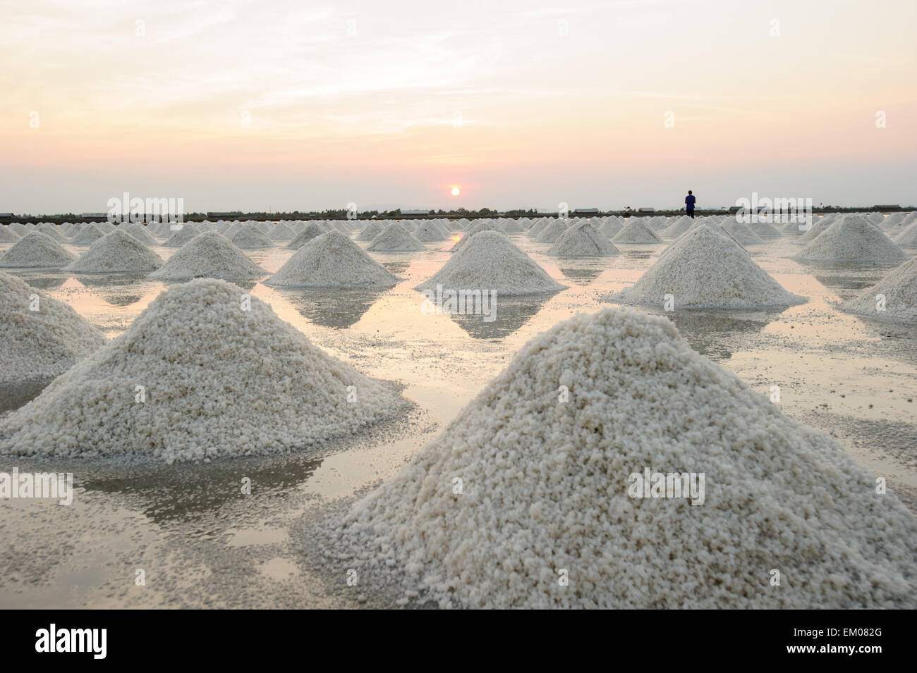 Portugal salt deposit hi-res stock photography and images - Alamy