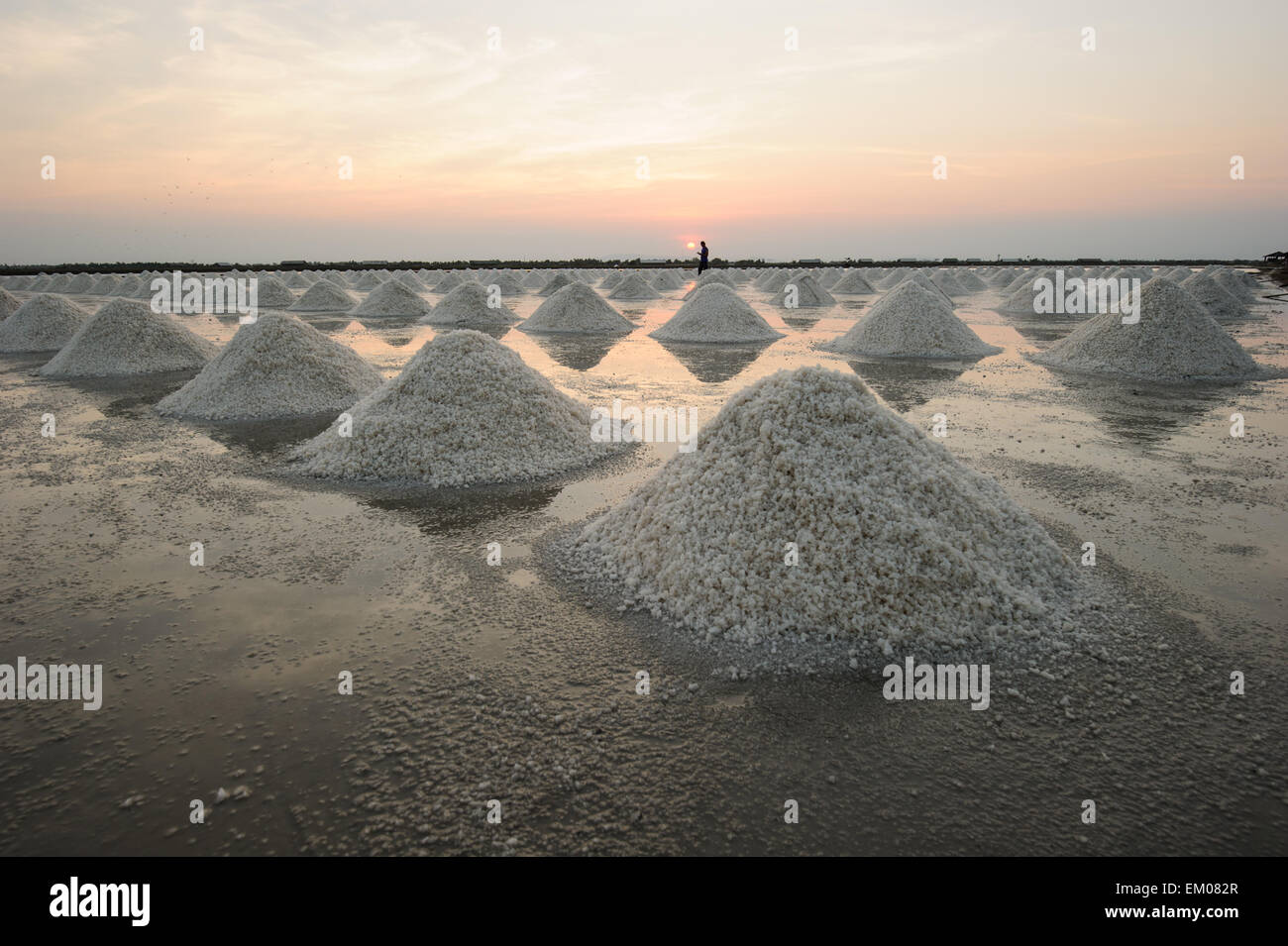 pile of salt in the salt pan at rural area of Thai coast Stock Photo ...